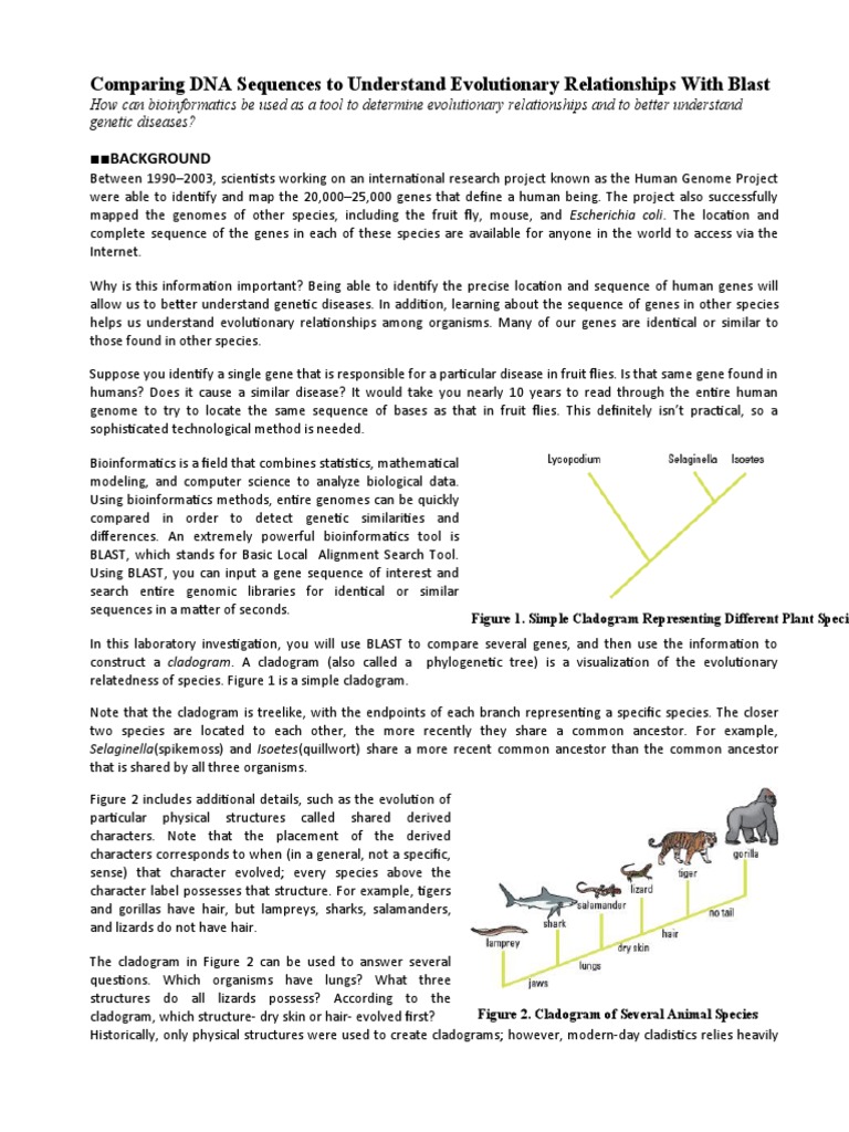 Comparing DNA Sequences To Understand Evolutionary Relationships With Blast | PDF ...