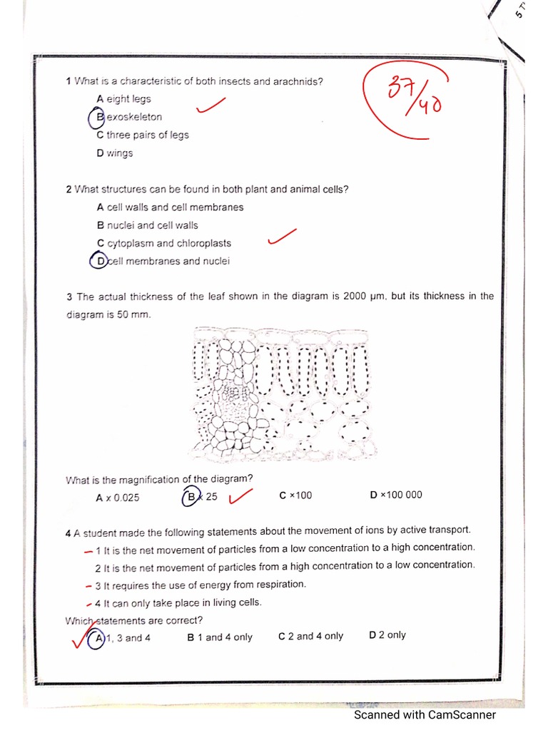 Bio P2 and P6 Syed Yusha Rashid 10D | PDF