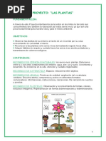 PROYECTO Las Plantas y La Primavera | PDF | Plantas