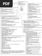 Anatomy and Physiology Science Olympiad 2024 Cheat Sheet | PDF ...