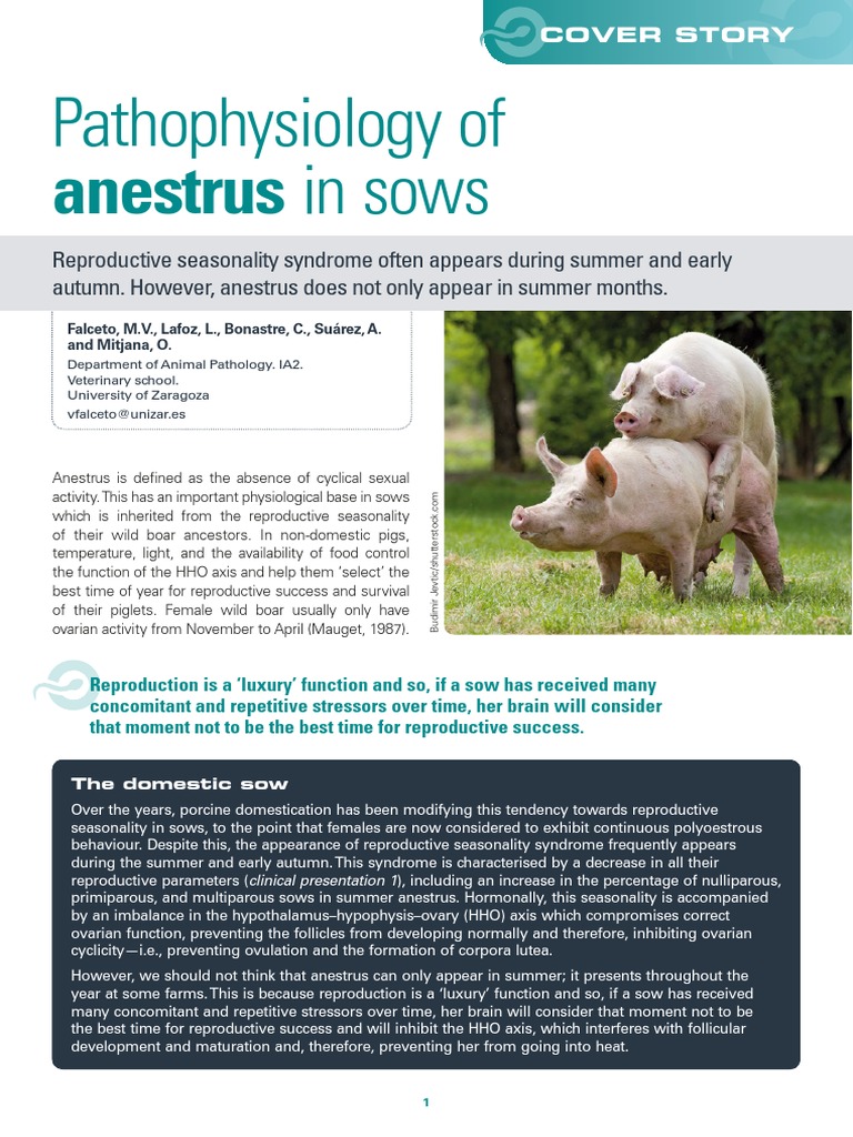 Pathophysiology of Anestrus in Sows | PDF | Ovary | Luteinizing Hormone