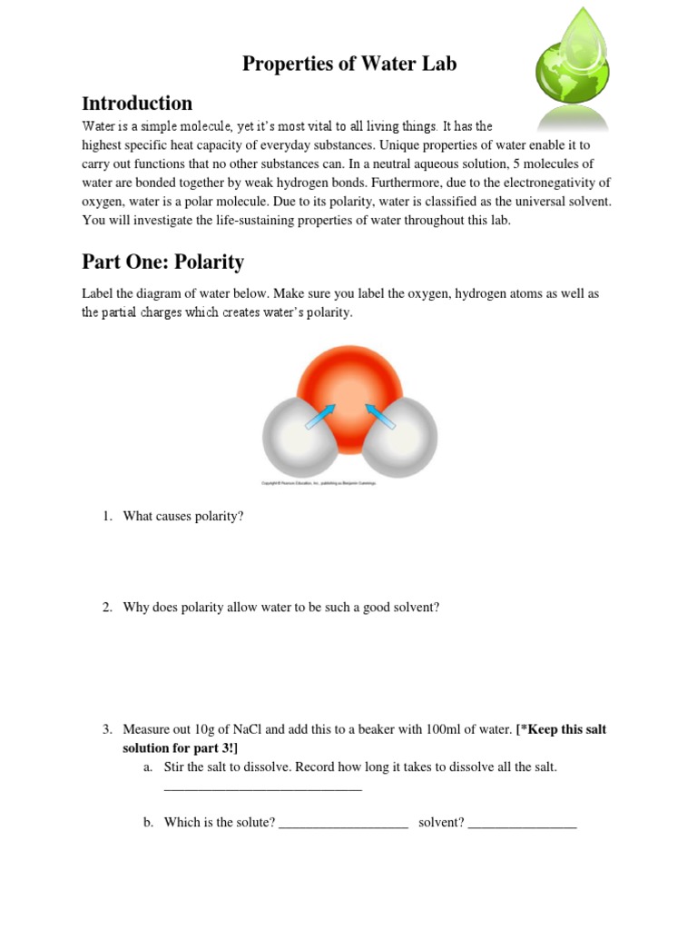 Properties of Water Lab Activity | PDF | Properties Of Water | Chemical ...