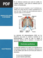 Importancia del Ángulo de Louis en Anatomía | PDF | Tórax | Anatomía humana