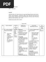 Model Dokumentasi Keperawatan POR | PDF