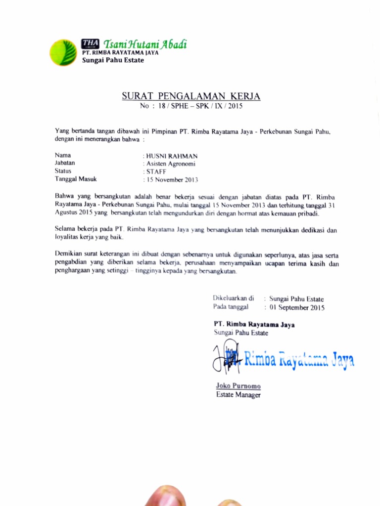 Paklaring Save True All | PDF