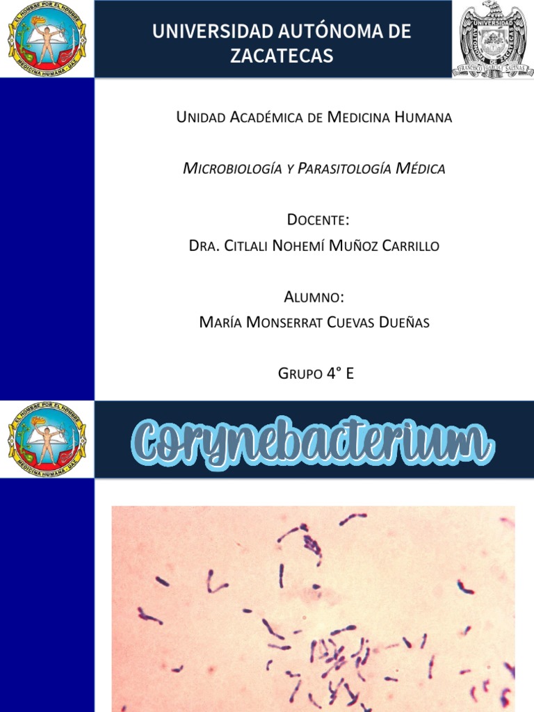 CORYNEBACTERIUM | PDF | Microbiología | Microorganismo