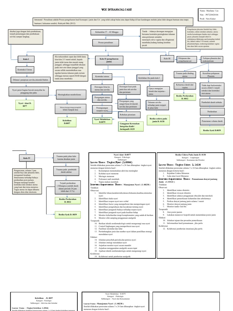 Woc Intranatal Care | PDF