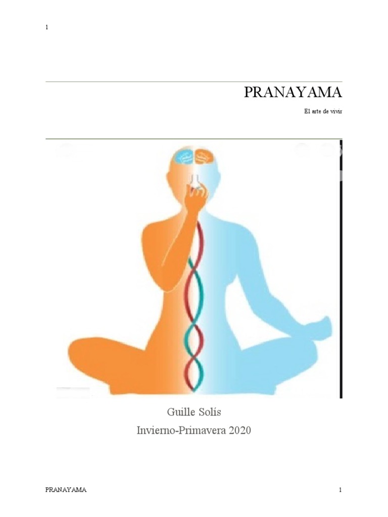 Técnicas de Respiración Pranayama | PDF | Respiración | Yoga