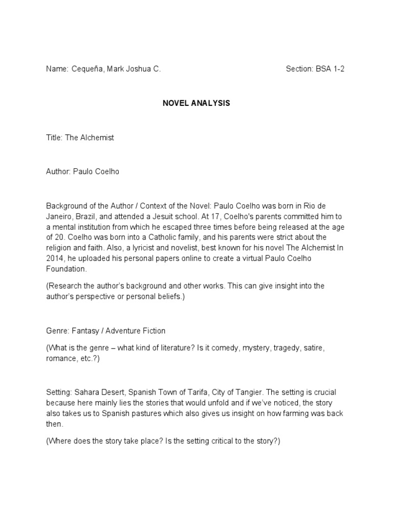 Novel Analysis Format | PDF | Narration
