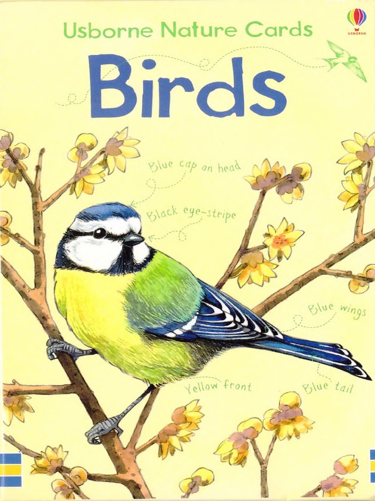 Birds Cards | PDF