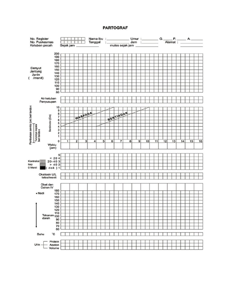 Lembar Partograf Kosong | PDF