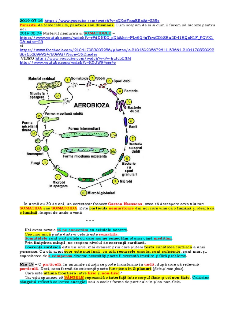 Adrian Cranta Despre Somatide Și Paraziti | PDF