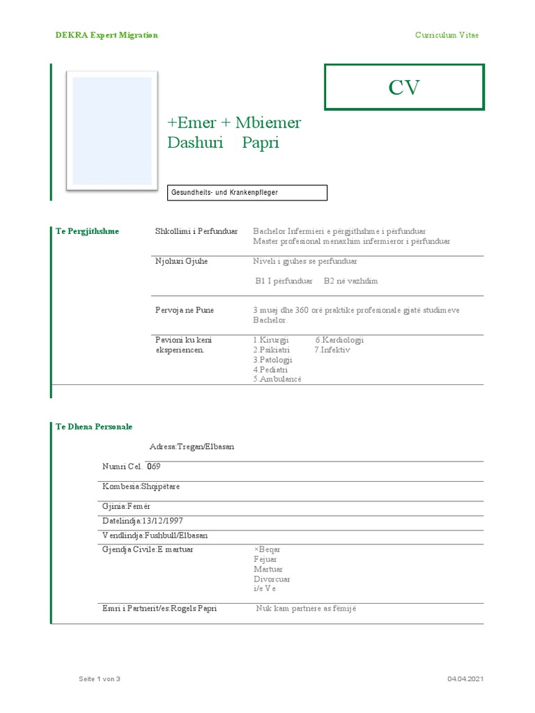 0 CV Shembull Shqip | PDF