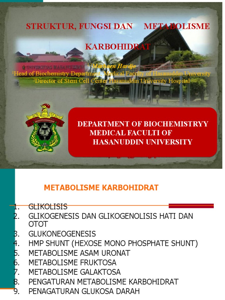 Struktur, Fungsi Dan Metabolisme Karbohidrat: Department of ...