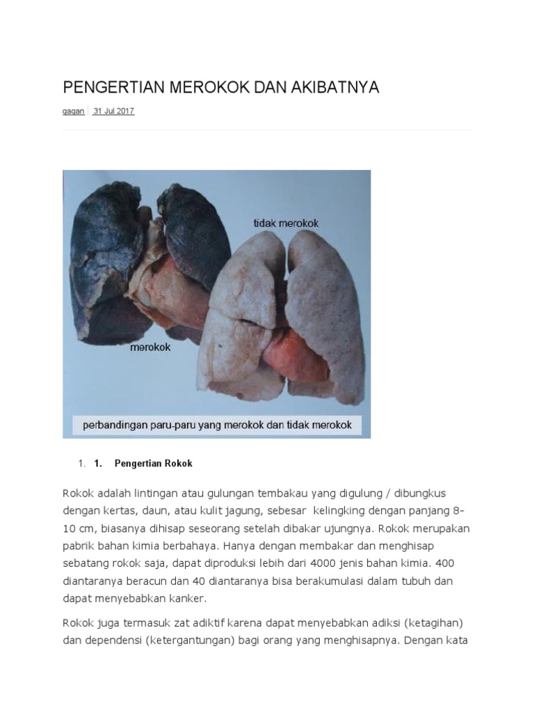 Pengertian Merokok Dan Akibatnya | PDF