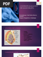 Cuadrantes y autoexamen de la mama | PDF | Pecho | Cáncer de mama