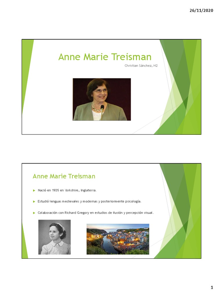 Grupo H - Anne Treisman | PDF | Memoria | Percepción