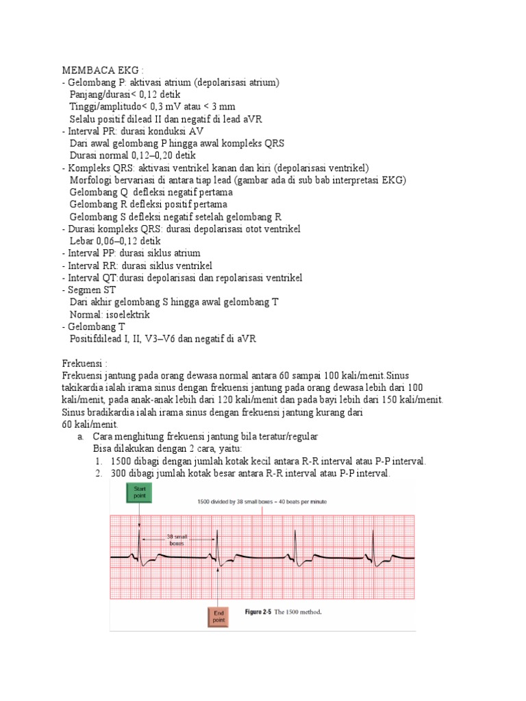 Membaca Ekg | PDF