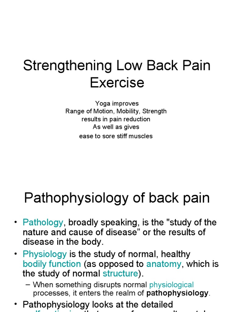 Strengthening Low Back Pain Exercise Pdf Vertebra Vertebral Column