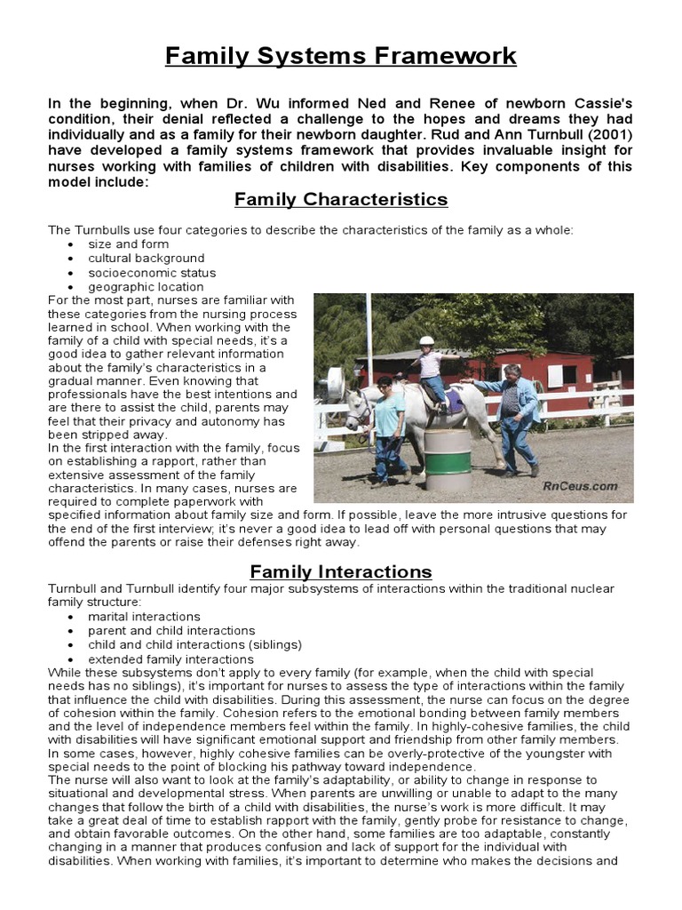 Family Systems Framework | Download Free PDF | Adolescence | Childhood