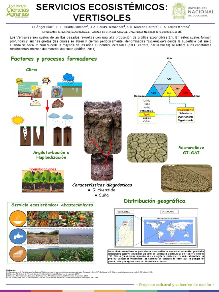 Vertisoles | PDF | Geografía Física | Ciencia del suelo