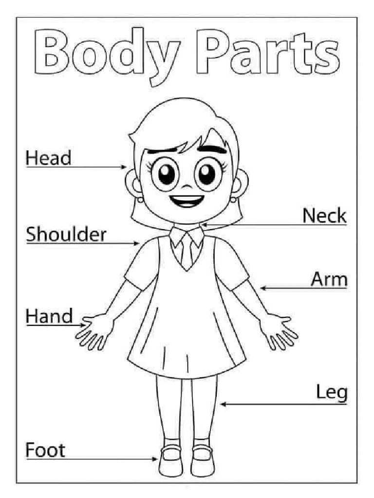 Body Parts Prints | PDF