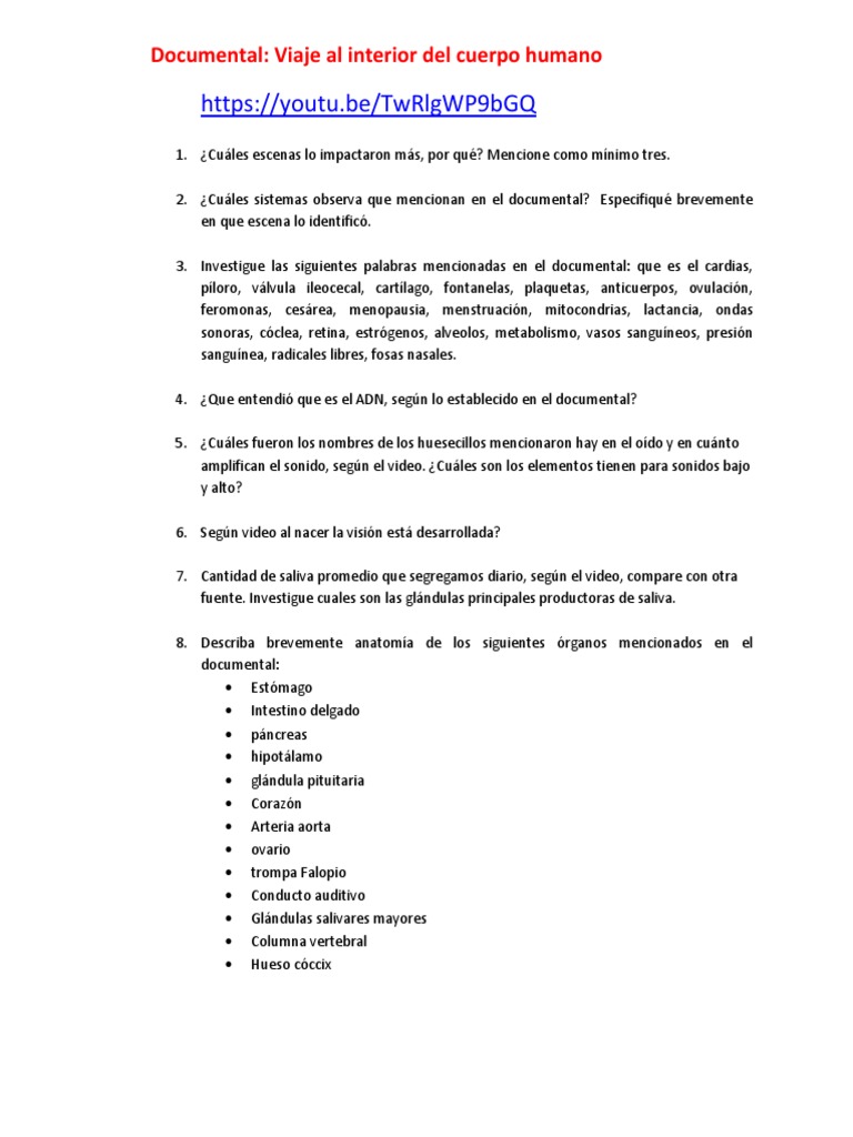 Documental Preguntas 2021 | PDF