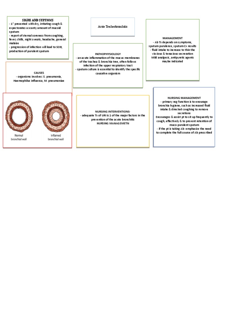 Week 3 Acute Tracheobronchitis | PDF | Bronchitis | Cough