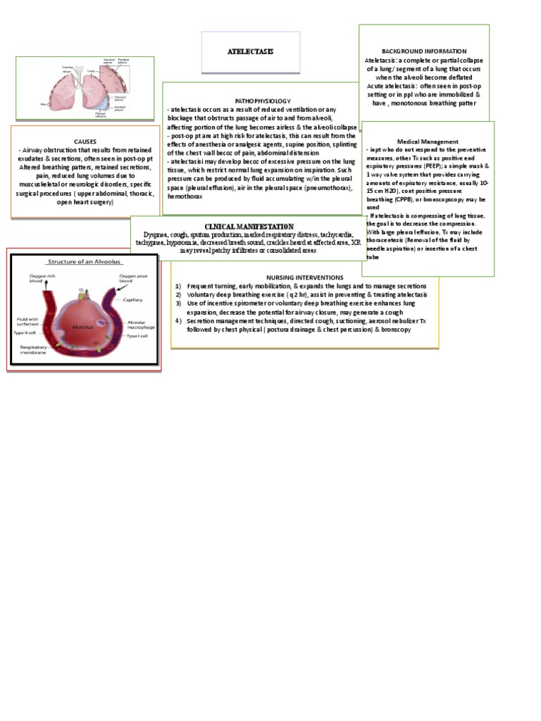 Week 3 Atelectasis CC | PDF | Physiology | Respiratory Diseases