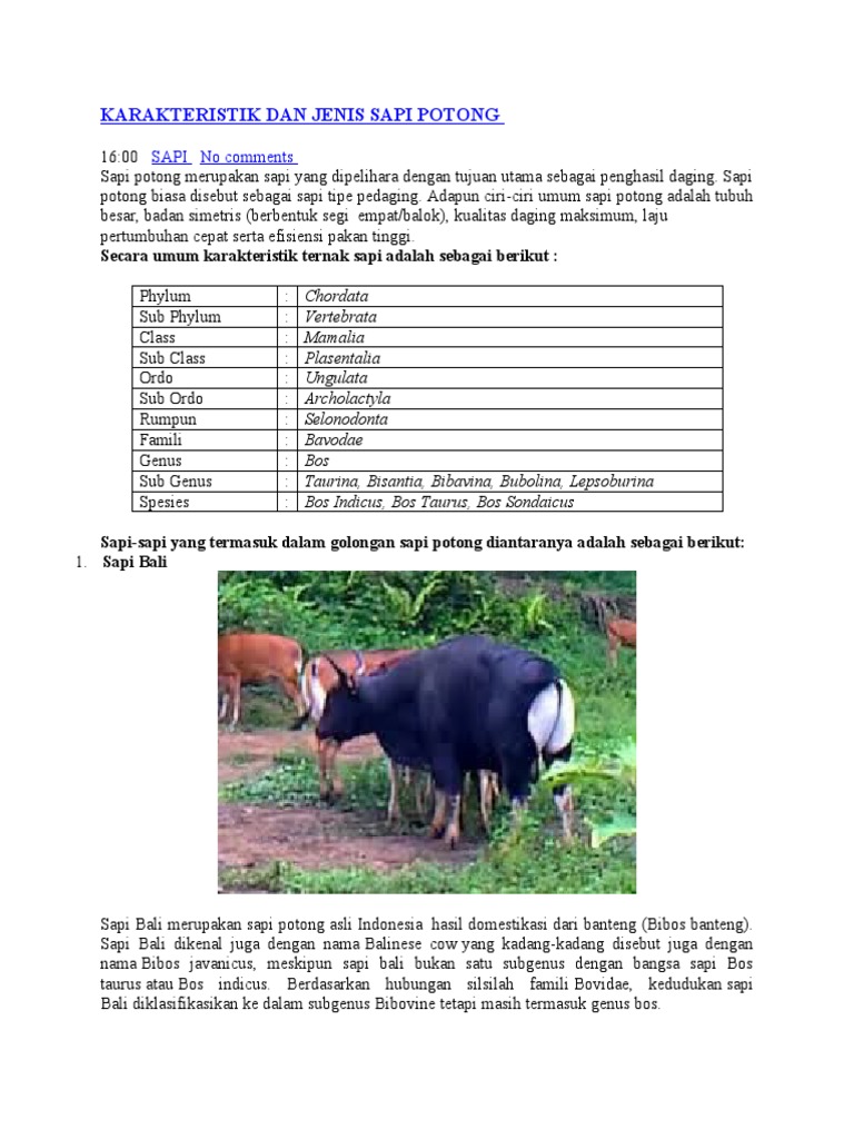 Karakteristik Dan Jenis Sapi Potong | PDF