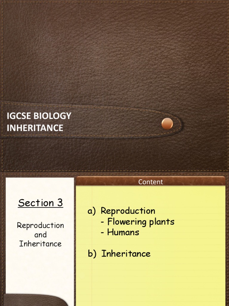 IGCSE Biology Section 3 Lesson 3 | PDF | Zygosity | Dominance (Genetics)