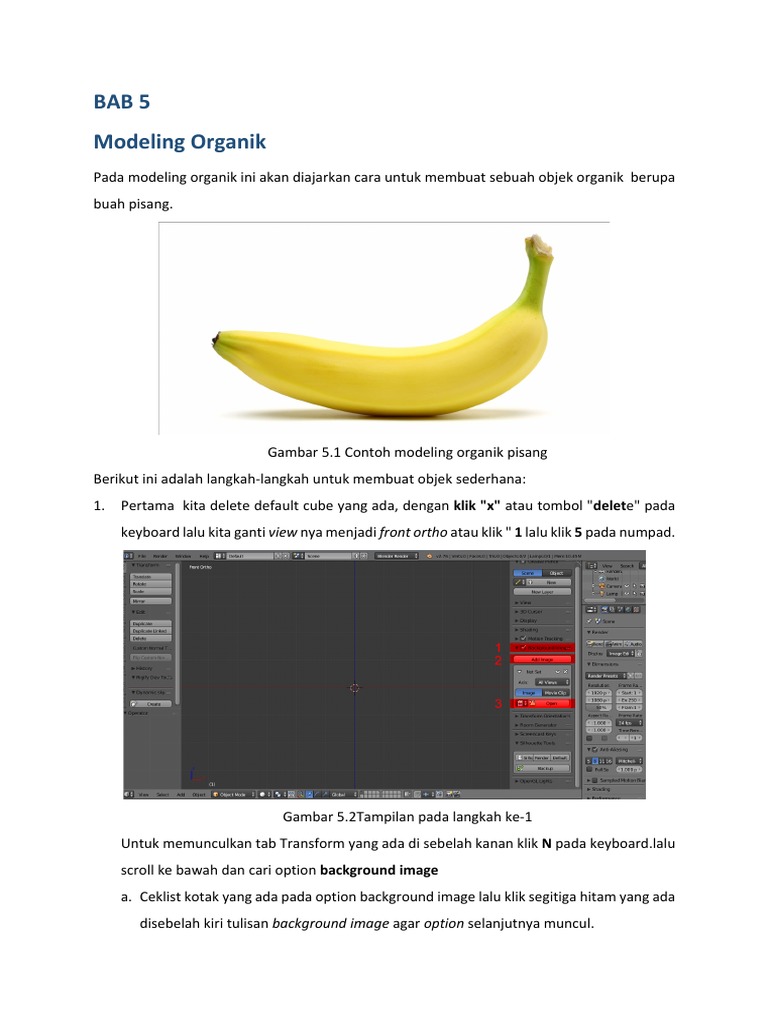 BAB 5 Modeling Organik | PDF