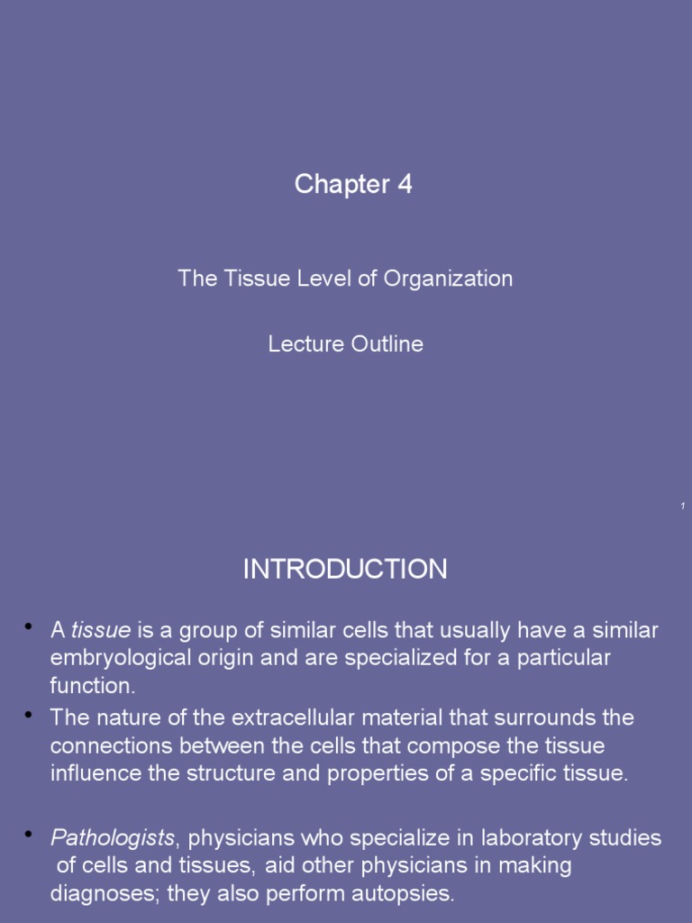 4.the Tissue Level of Organization | PDF | Epithelium | Glands