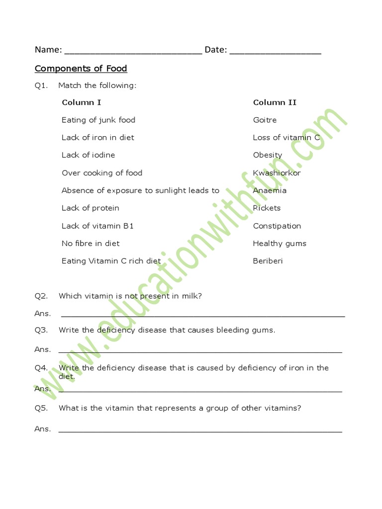 Components of Food Worksheet 2 | PDF