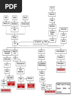 Acute Kidney Injury Concept Map | PDF | Angiotensin | Kidney