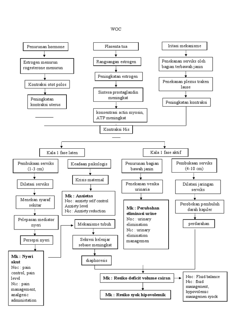 Woc Intranatal | PDF