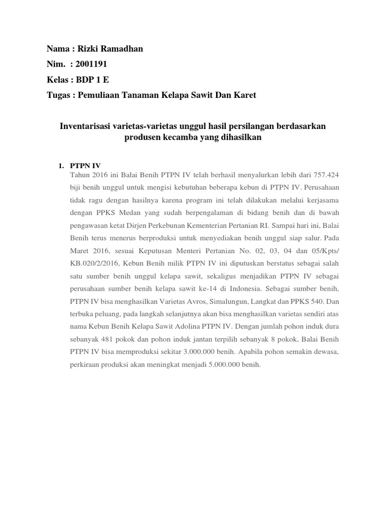 Rizki Ramadhan BDP 1 E | PDF