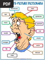 Parts of The Face Flash Cards 2x3 PDF | PDF