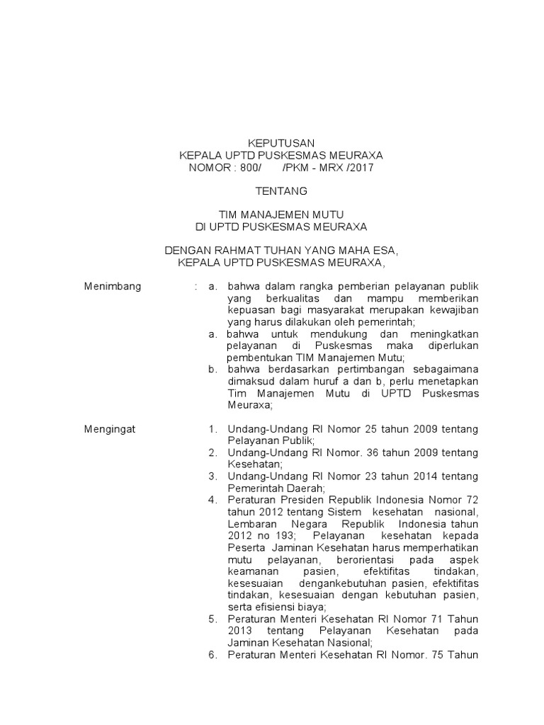 SK Tim Manajemen Mutu | PDF