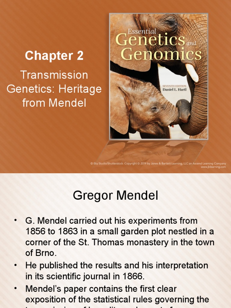 02 Cytogenetics Gene Transmission Hartl | PDF | Dominance (Genetics ...