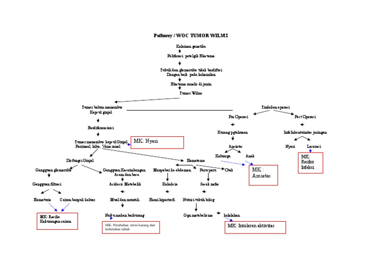 Pathway Atau Woc | PDF