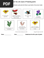 Year 5 Flowering and Non-Flowering Exercises | PDF | Flowers | Pollination