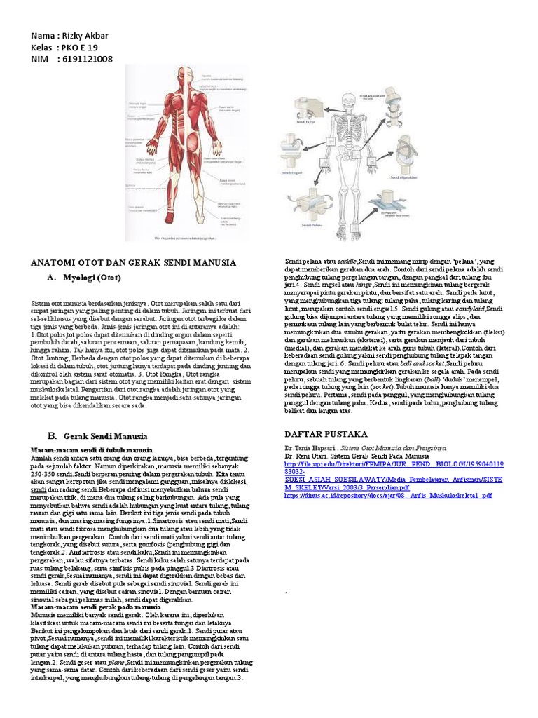 Anatomi Otot Dan Gerak Sendi Manusia | PDF