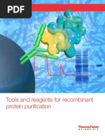 Nano Glo Hibit Lytic Detection System Technical Manual | PDF | Proteins ...