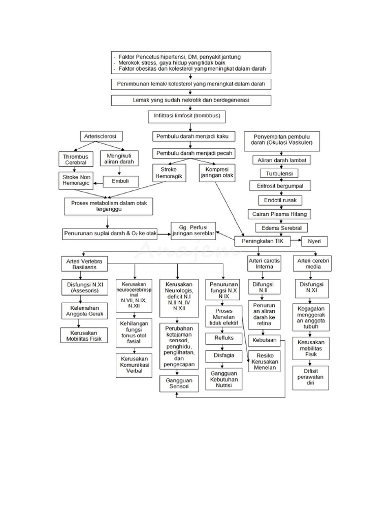Pathway SNH Apiiiiiiiik............. | PDF