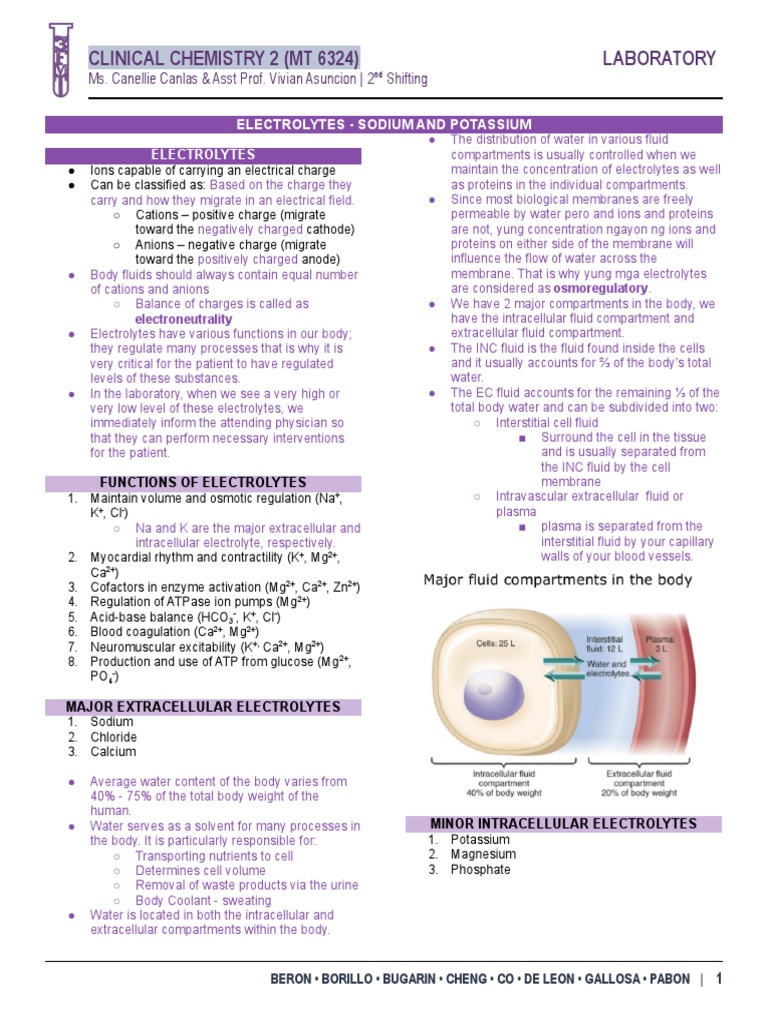 (CC Lab) Sodium and Potassium | PDF | Electrolyte | Calcium In Biology