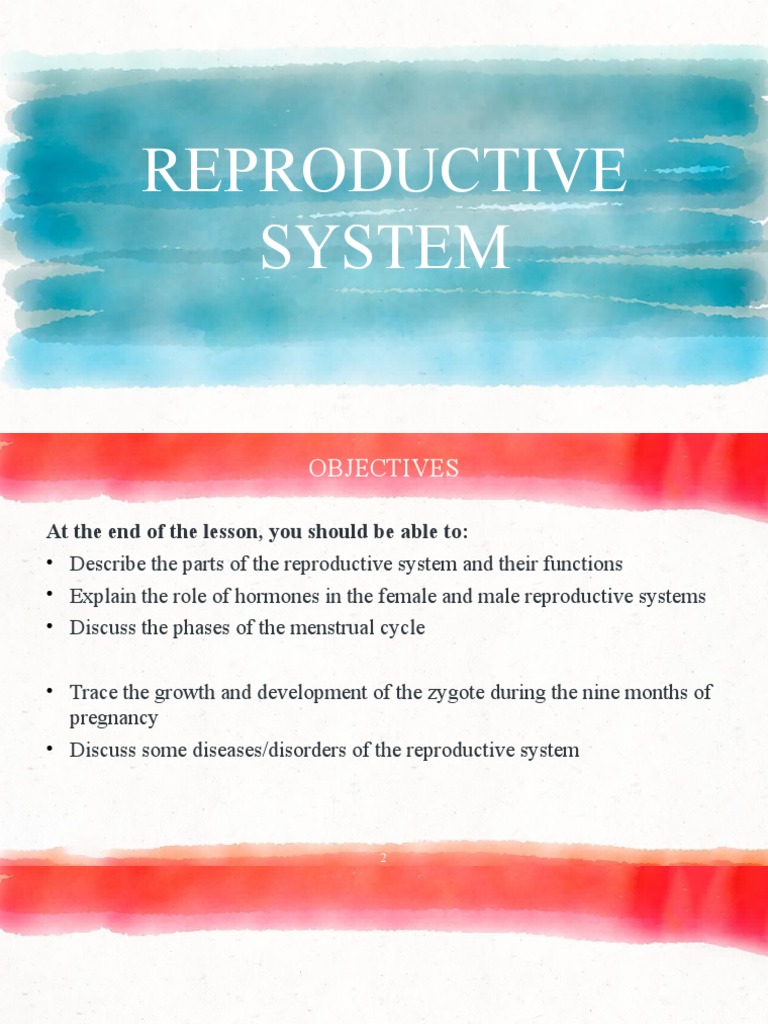 LESSON 1 - Reproductive System and Its Diseases | PDF | Menstrual Cycle ...