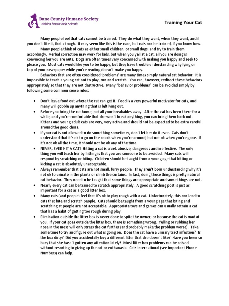 Training Your Cat | PDF | Cats | Reinforcement