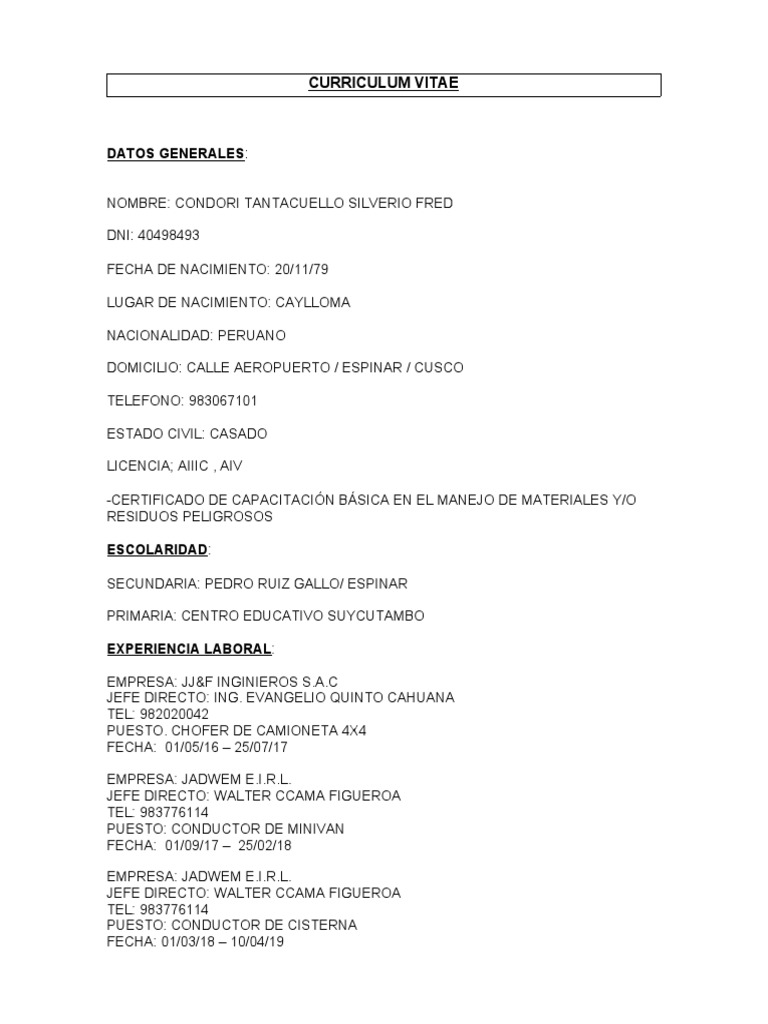 Curriculum Vitae BN | PDF