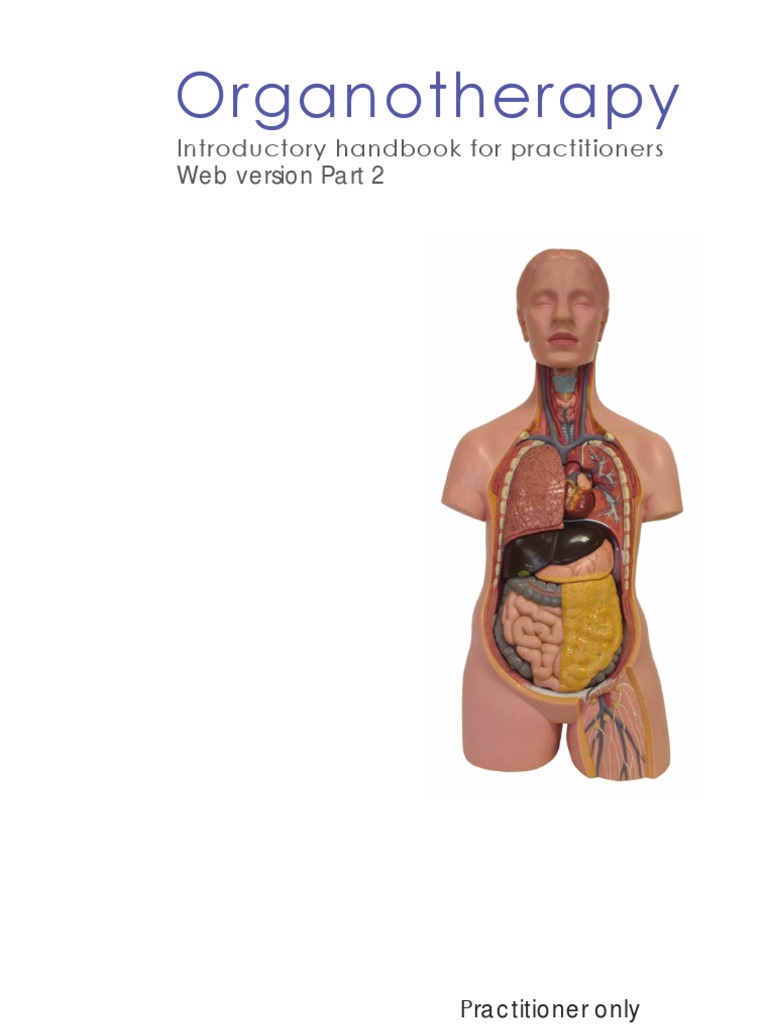 Organotherapy Handbook for Practitioners | PDF | Lymphatic System | Heart